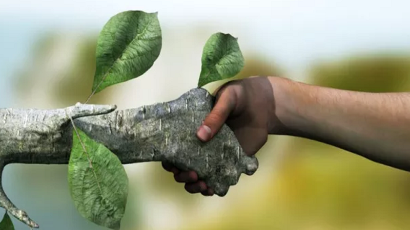 Il pollice dei romani è sempre più verde - Dimensione Suono Roma